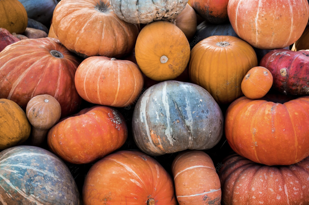 Crema di zucca: 4 modi per prepararla